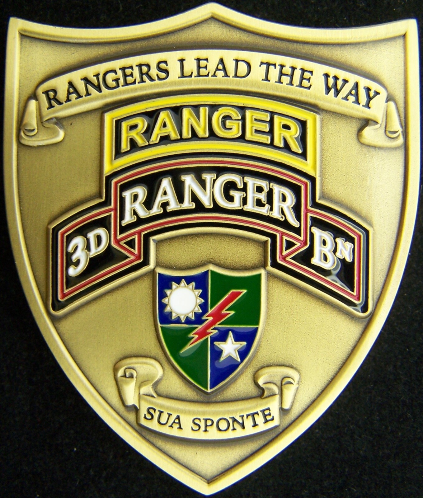 3rd Battalion 75th Ranger Regiment Challenge Coin | eBay
