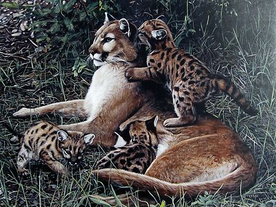 Terry Issac, "Three's a Crowd", open ed poster, 18"h x 24"w | eBay