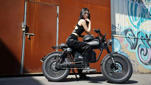 1500W Electric Motorbikes 7-speed 48V 30/60AH E-Bike UL 2849 Certified ...