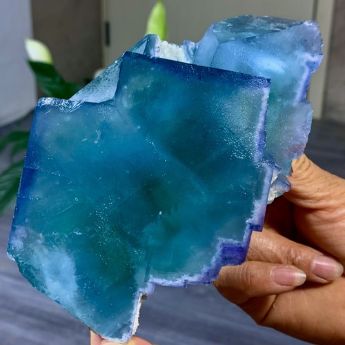 2.62LB Rare transparent blue green cubic fluorite mineral crystal ...
