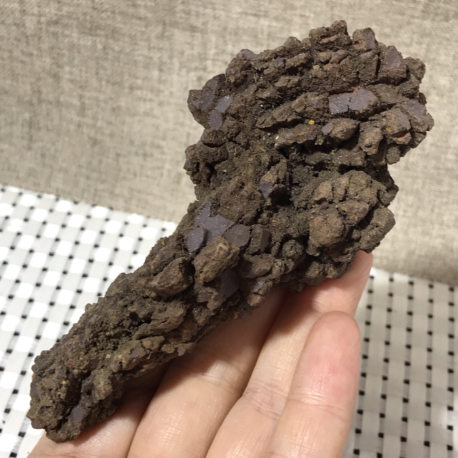 207g Top! Best Rare dinosaur dung coprolite crystal Poop K02L07 | eBay