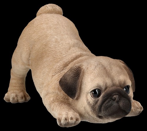 Statuetta Cane - Mops Cucciolo Vuole Giocare - HotAnt Animali Giardino ...