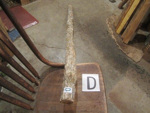 OSAGE ORANGE Bow Stave/walking stick blank/staves/billet/craft wood ...