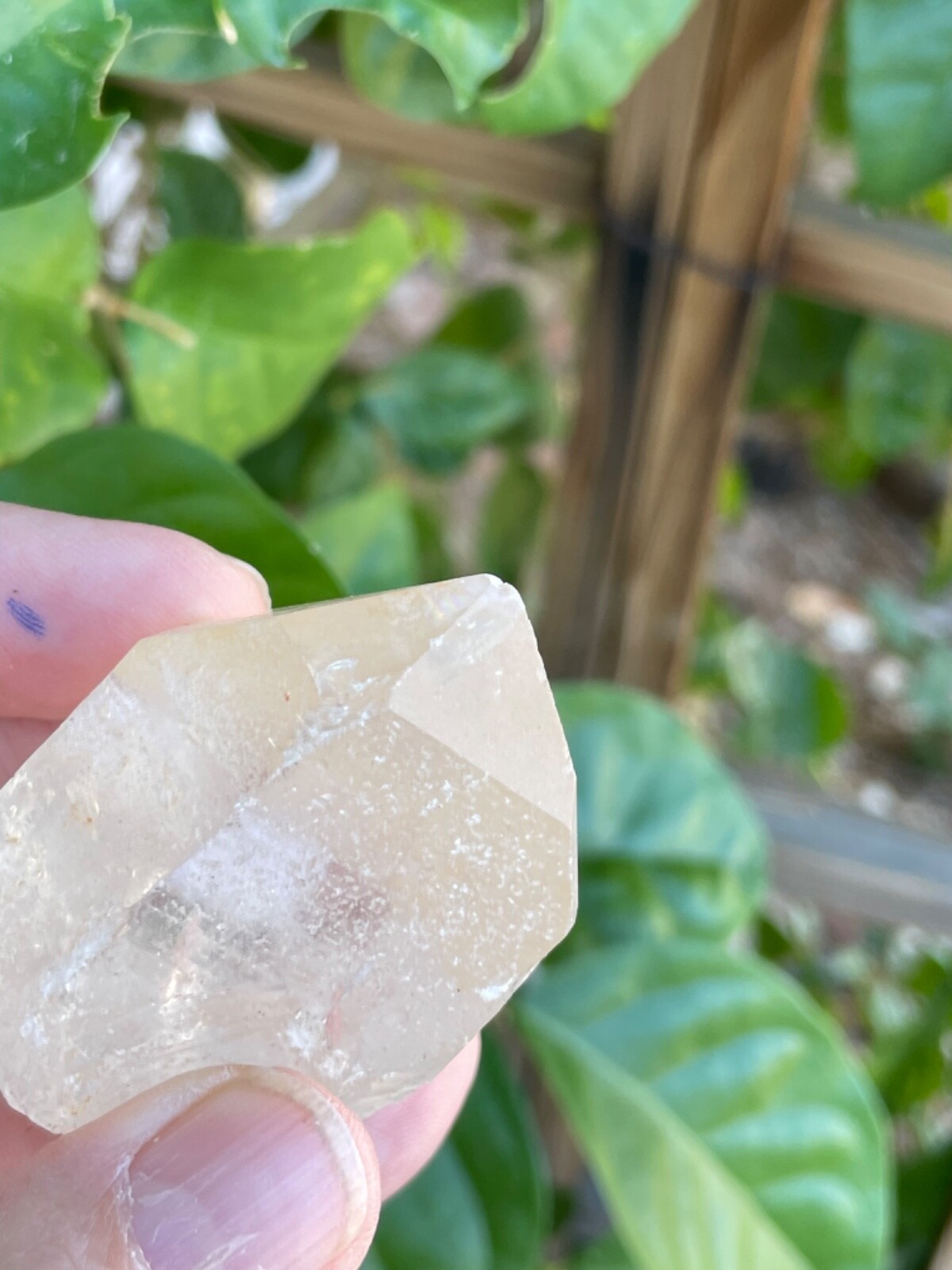 Phantom Lemurian Seed Quartz Rough Point 81g 60mm Healing Crystal ...