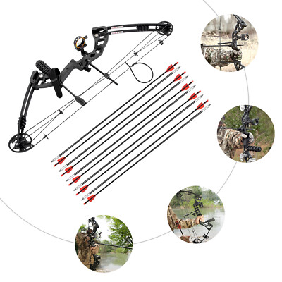 Right Hand Compound Bow+12pcs Arrows Bow Hunting Set Archery Kit For ...