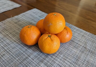 Fresh Seedless Mandarin Tangerine Tango Tangerines 5 lbs box ( 16 to 20 ...