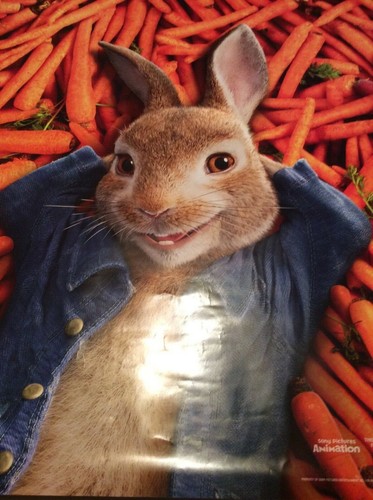 PETER RABBIT MOVIE POSTER | PRINT (SIZE: 24" x 36") | eBay