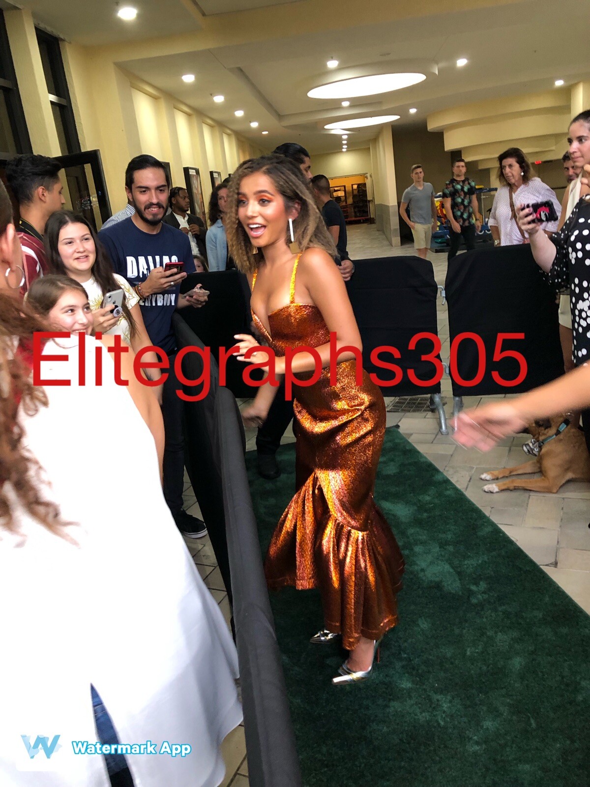 ISABELA MERCED MONER Hand SIGNED 8X10 PHOTO DORA THE EXPORER PSA DNA ...