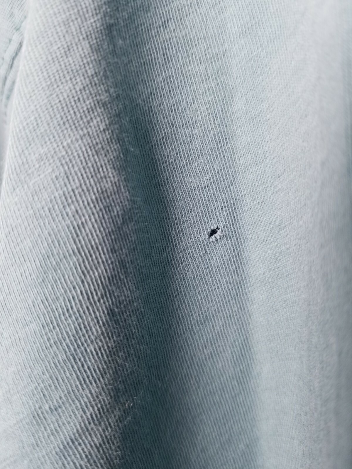 Cuffy's Cape Cod Teal Pirate Ship Skull Short Sleeve … - Gem