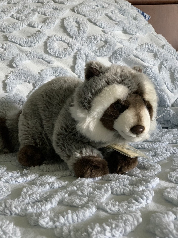 Webkinz Signature Raccoon WKS 1004 Unused Tag 661371804989 | eBay