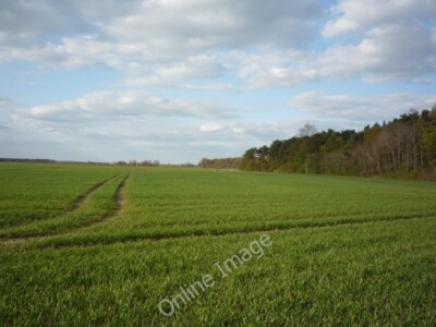 Photo 6x4 The edge of Millfield wood Kexby/SE7051 Looking across part ...