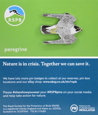RSPB Pin Badge NIIC Peregrine (flying) P02967 | eBay UK
