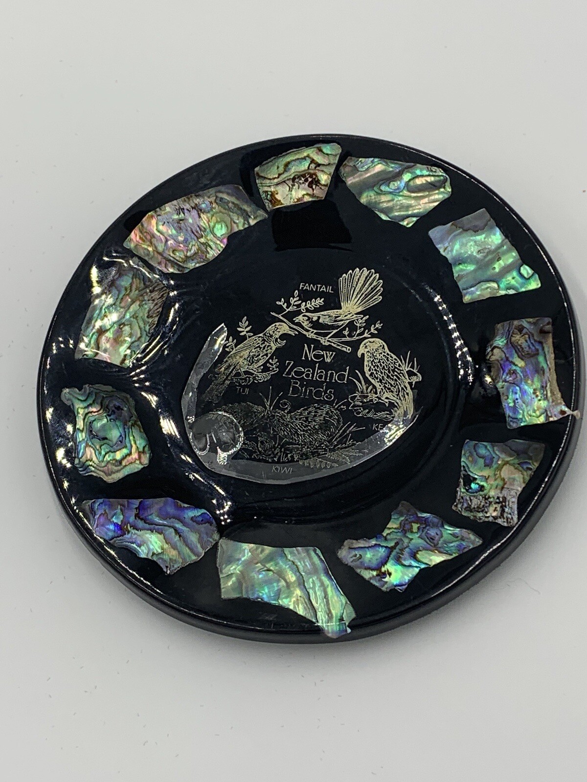 Display Plate Paua Shell New Zealand Kiwi Fantail Kea Tutu Birds | eBay