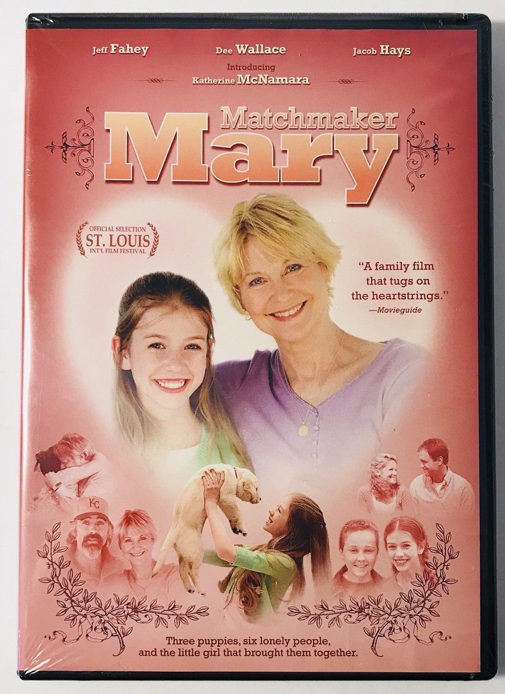Matchmaker Mary (DVD, 2009) Dee Wallace Stone USED VERY GOOD DVD ...