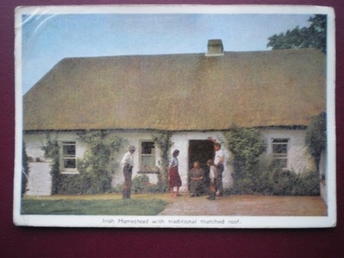 POSTCARD IRISH HOMESTEAD WITH TRADITIONAL THATCHED ROOF | eBay