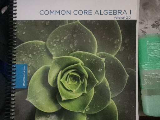 Common Core Algebra I by Garrett Matula and Kirk Weiler (2015, Spiral ...