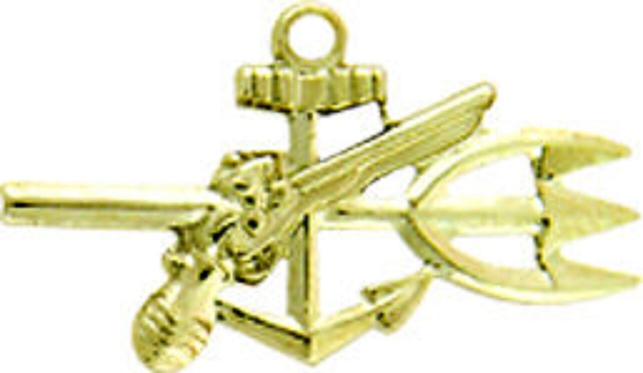 NAVY SPECIAL WARFARE BADGE SEAL TEAM SEALS UDT GOLD PIN | eBay