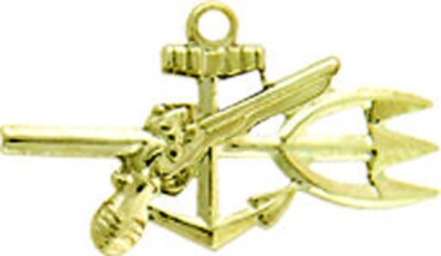 NAVY SPECIAL WARFARE BADGE SEAL TEAM SEALS UDT GOLD PIN | eBay