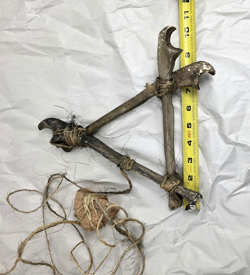 Vampire Diaries Franchise Set Dec Prop Bones from Originals S4/E4 Box ...