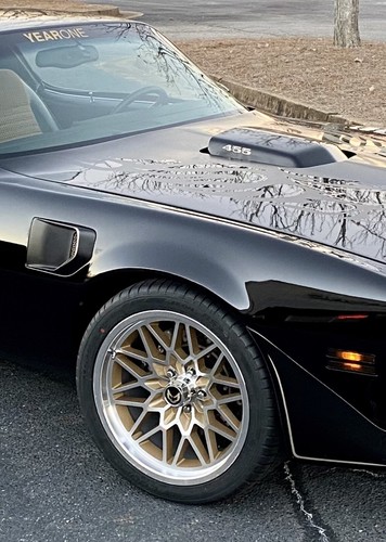 77 78 79 80 81 Firebird Trans Am Custom Flush Mount Wheel Well Flare ...