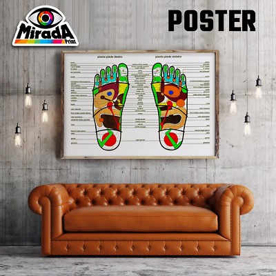 Reflexology Foot Poster Wellness Health Digitopressure Organs | eBay UK