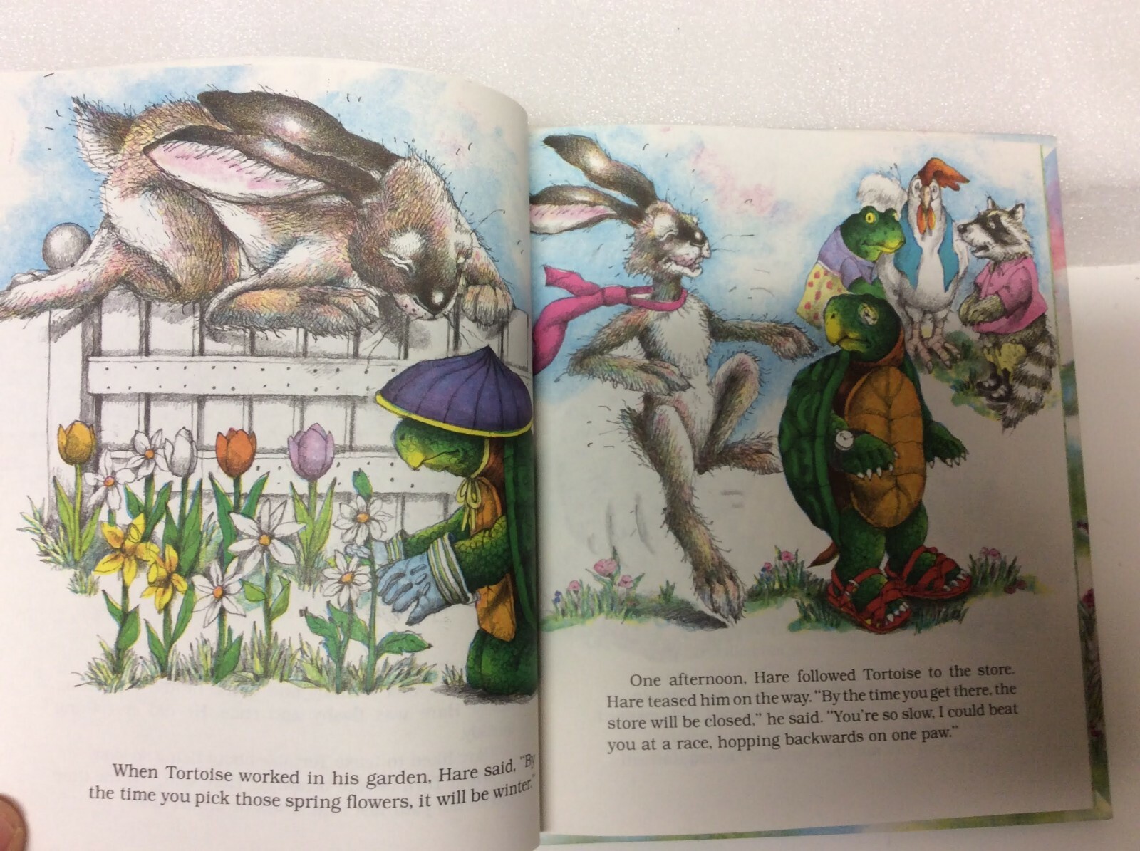 The Tortoise and the Hare Janet Stevens READING Rainbow Book 1984 ...