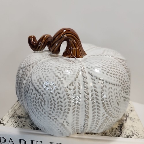 Harvest Ceramic Pumpkin Fall White Textured Brown Curly Stem Home Decor ...
