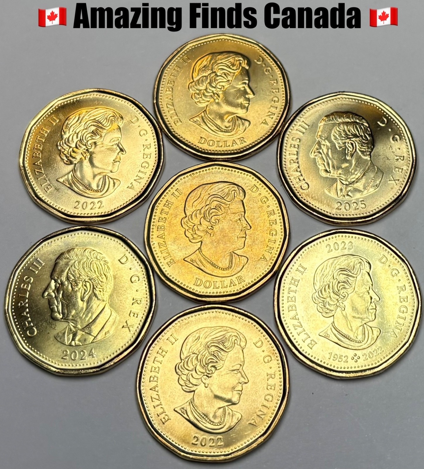 Uncirculated Lot of 7 Canadian Commemorative Colour Loonies $1 Coins | eBay