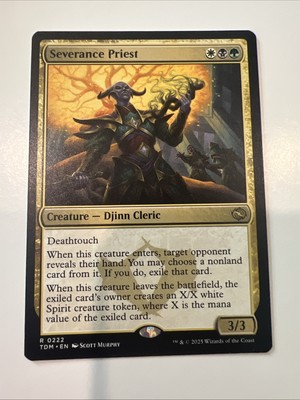 Severance Priest TDM Tarkir Dragonstorm MTG 222 RARE M/NM 1x | eBay