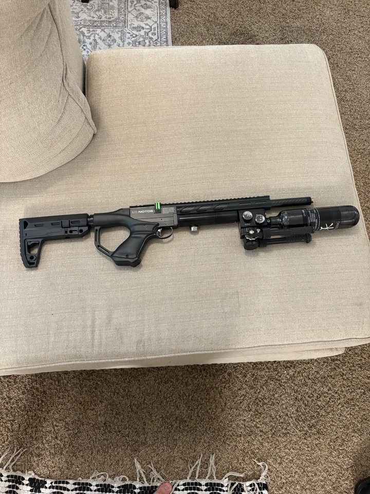 Umarex Notos ( Custom 25 Cal) | eBay