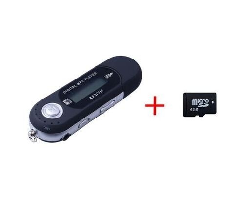 USB - Micro SD - LCD Display- AAA Powered MP3 Music Player / FM Radio ...
