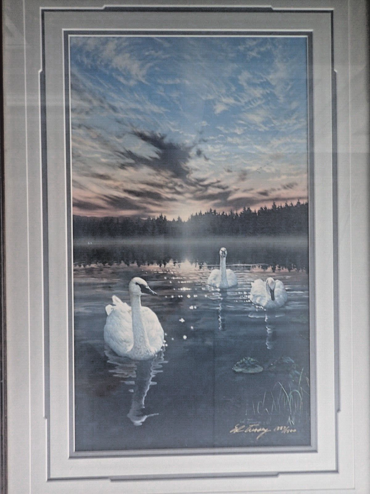 Ed Tussey Alaskan Art Print "SWANS EARLY LIGHT" Signed, Numbered 1387/ ...