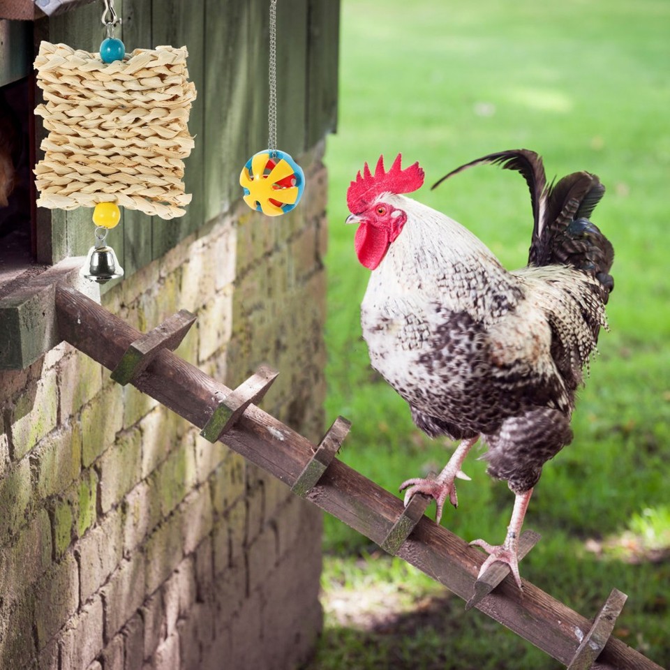 5 PCS/Set Chicken Rooster Toy Enrichment Toys for Chickens Bird Hanging ...