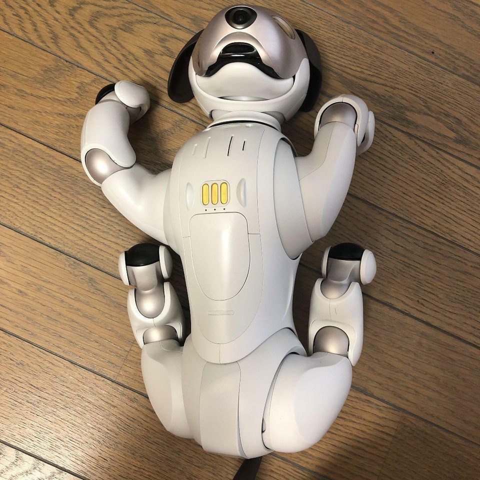 Sony AIBO ERS-1000 Entertainment Robot Dog Ivory White | eBay