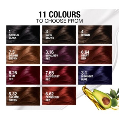 Garnier Natural Hair Color / Vibrant Color in Sachets (20g+20ml) x 10 ...