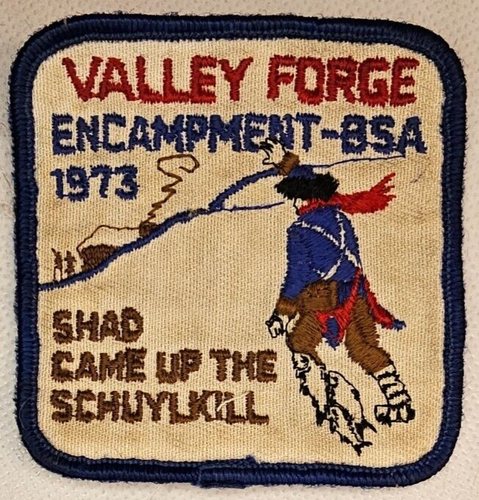 Vintage 1973 Valley Forge Encampment Boy Scouts Patch | eBay