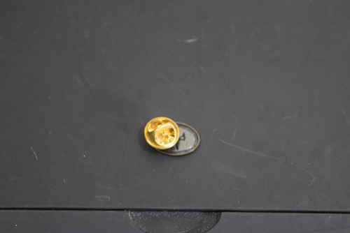 Webelos INTO THE WILD Arrow of Light BIRD Pin Cub Scout Ribbon Award ...