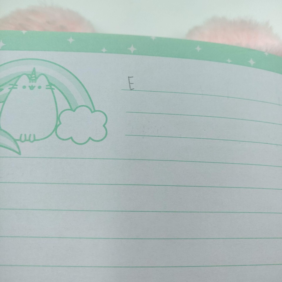 Pusheen The Cat Girls 2020 Pink Fuzzy Plush Writing Notebook Journal ...