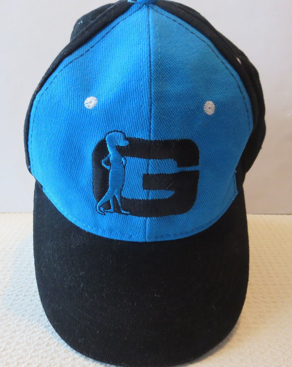 Geico Gecko Cap Hat | eBay