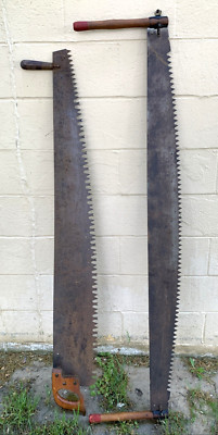 2 Two Man Crosscut Logging Saws - Disston Philadelphia PA | eBay