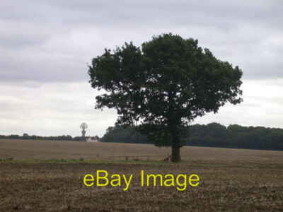 Photo 6x4 Lone tree with distant radar Newport/TL5233 The Debden Radar ...