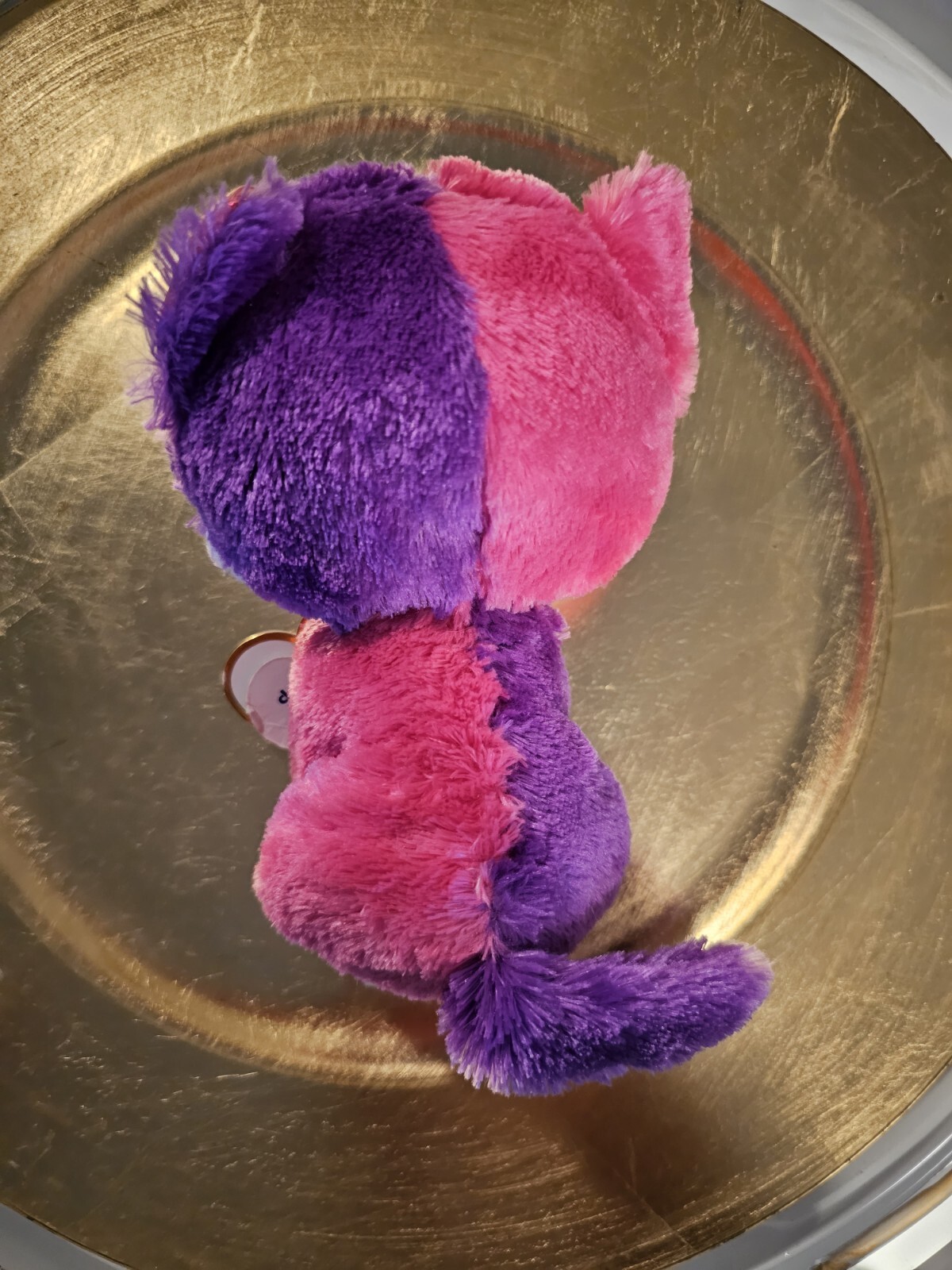 Ty Beanie Boos PELLIE the Cat 6" Claire's Exclusive Tag | eBay