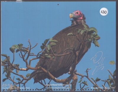 2024 ZAMBIA Signed 11X14 ARTIST PROOF #ed 5/10 Calendar LAPPET VULTURE ...