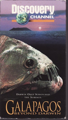 Galapagos - Beyond Darwin (VHS, 1996) Discovery Channel 743252249611| eBay