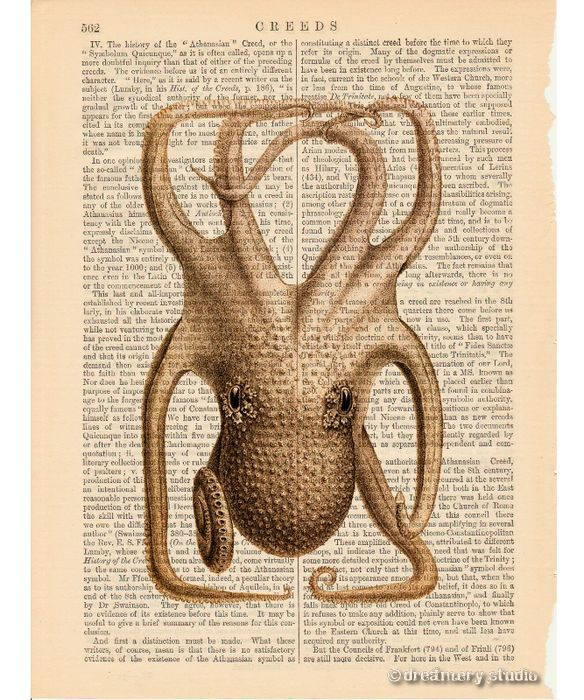 Choco Octopus #10 Art Print on Vintage Book Page Home Office Decor ...
