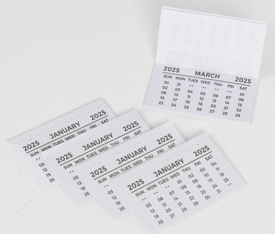 10 X 2025 Calendar Tabs Insert White Mini Calender Tear Off Pads Month ...