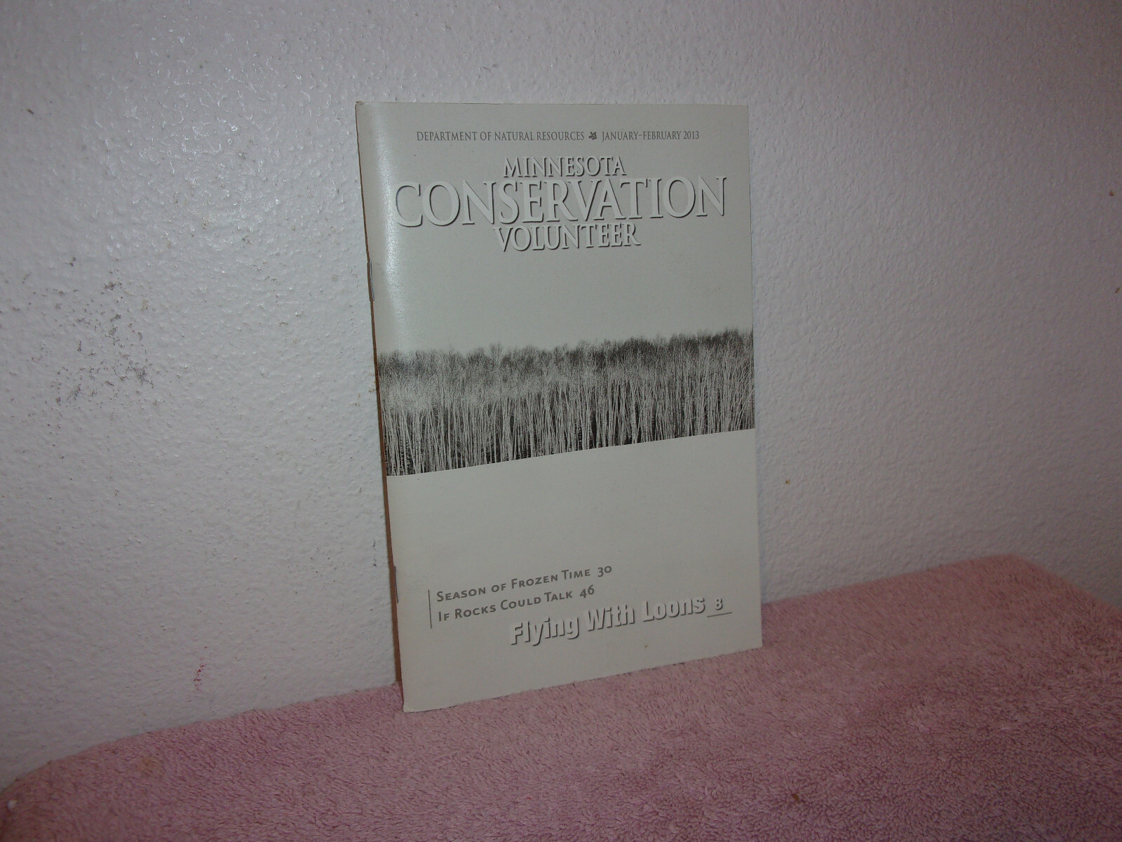 MINNESOTA CONSERVATION VOLUNTEER MAGAZINE."FLYING w/ LOONS". JAN /FEB ...