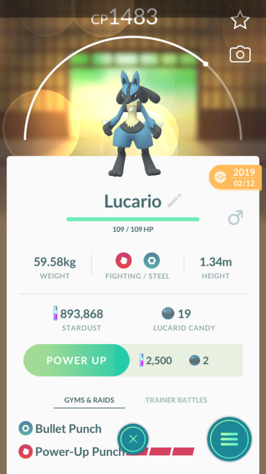 Lucario Power Up Punch