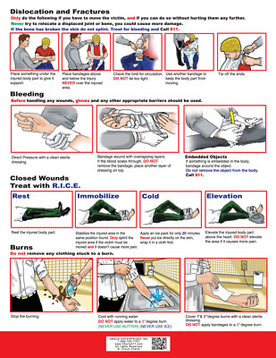 First Aid Reference Chart | Grelly UK