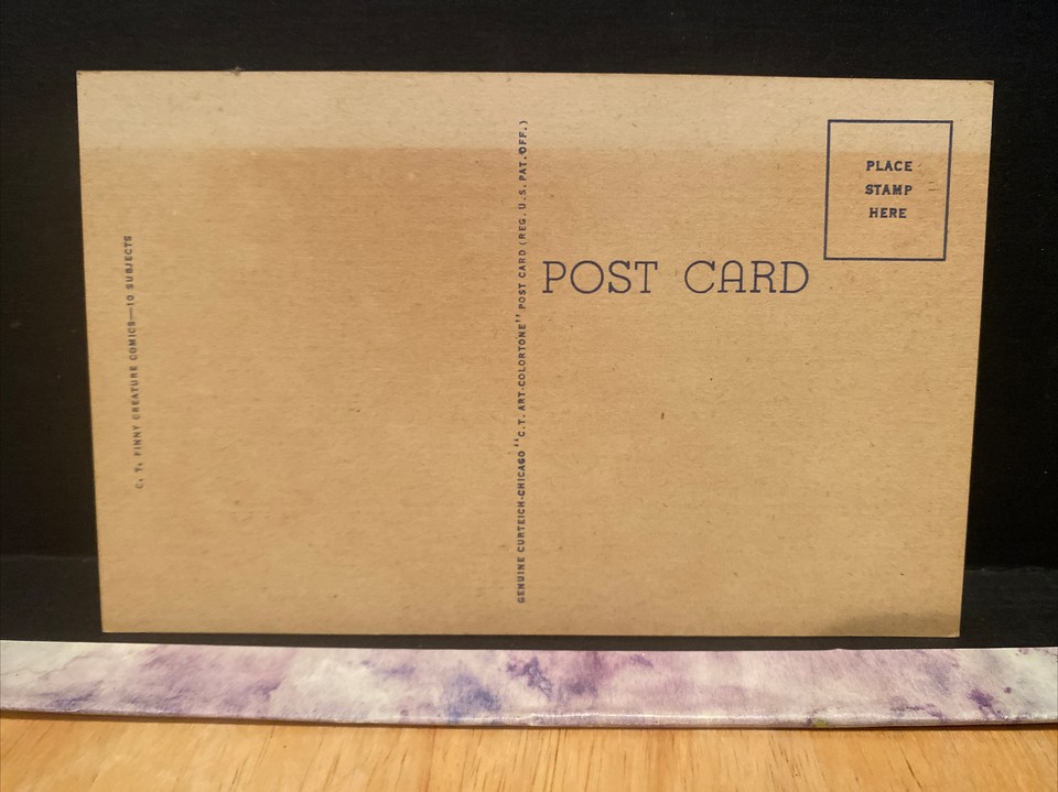 POSTCARD FISHERMAN,THIS IS TO CERTIFY I CAUGHT A FISH, Here’s Proof Unused Linen | eBay